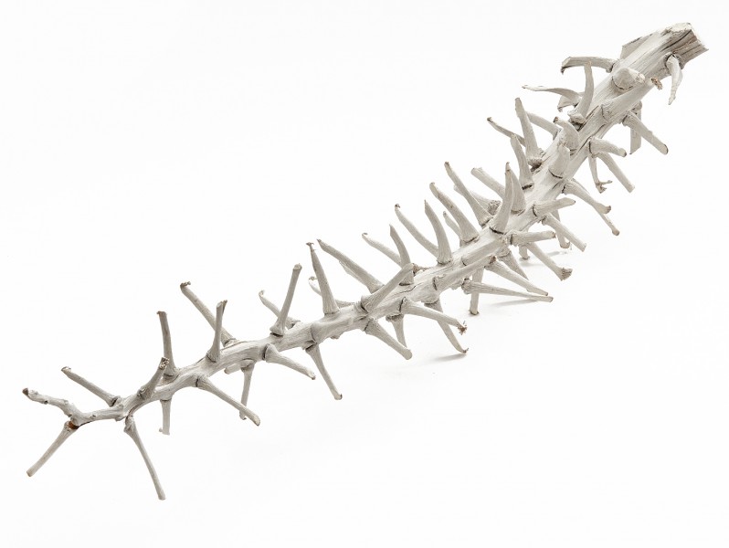 Rib Stick weiß ca. 100cm | NaDeco