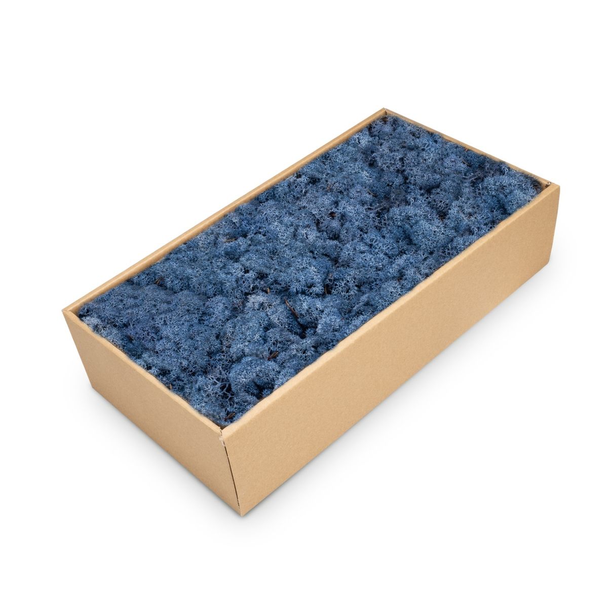 [Paket] Islandmoos Blau, konserviert, verpackt im Karton mit ca. 500g ...