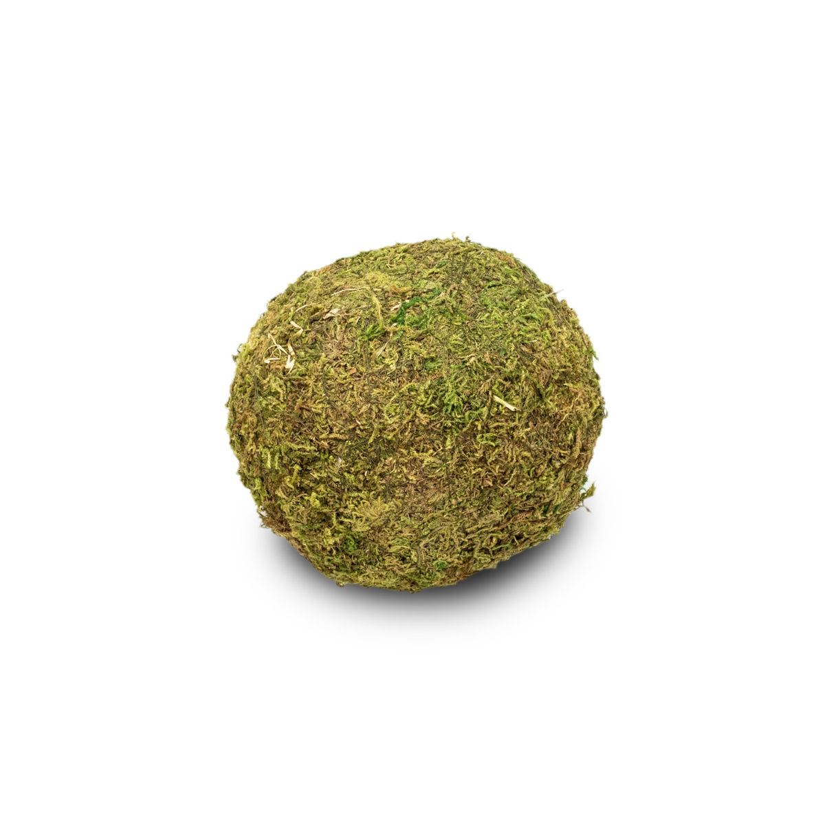Moos Ball Ø 15cm – Handgefertigte Mooskugel aus Asia Moos – Naturdeko ...